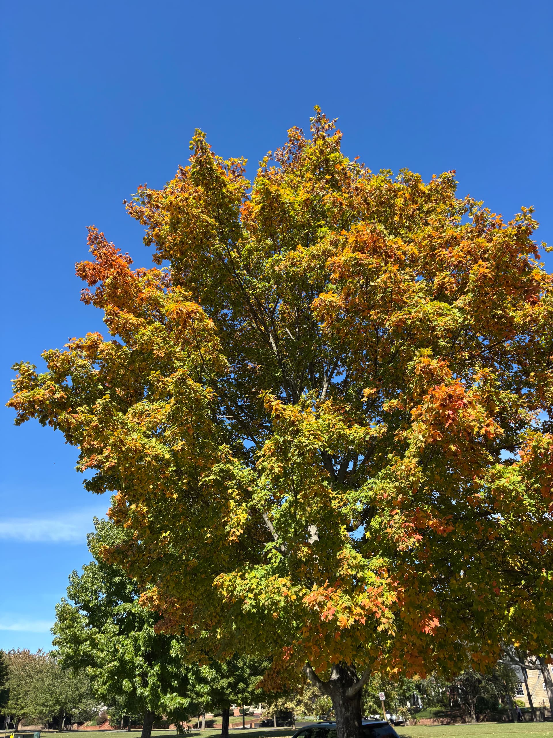 Musings on Autumn + Fall Pics! - Current Events - Christian Forums at ...